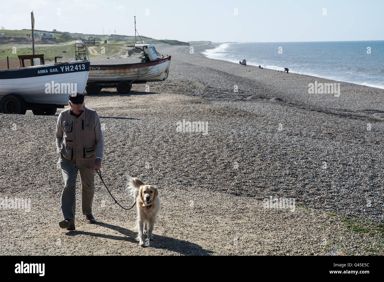 Man walking old dog along hi-res stock photography and images - Alamy