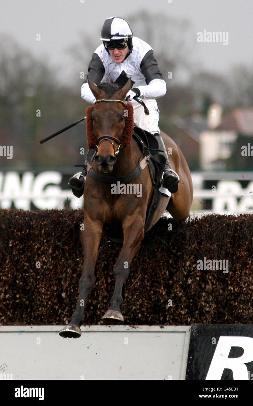 Adams Island ridden by jockey Anthony McCoy in the Racing Post ...