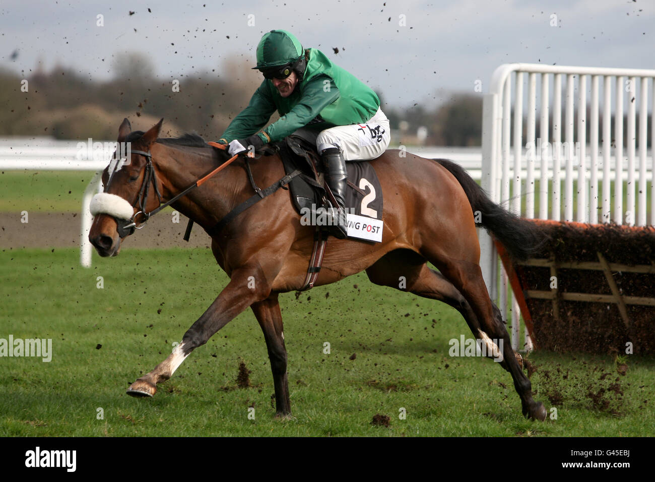 Get a tonic horse hi-res stock photography and images - Alamy