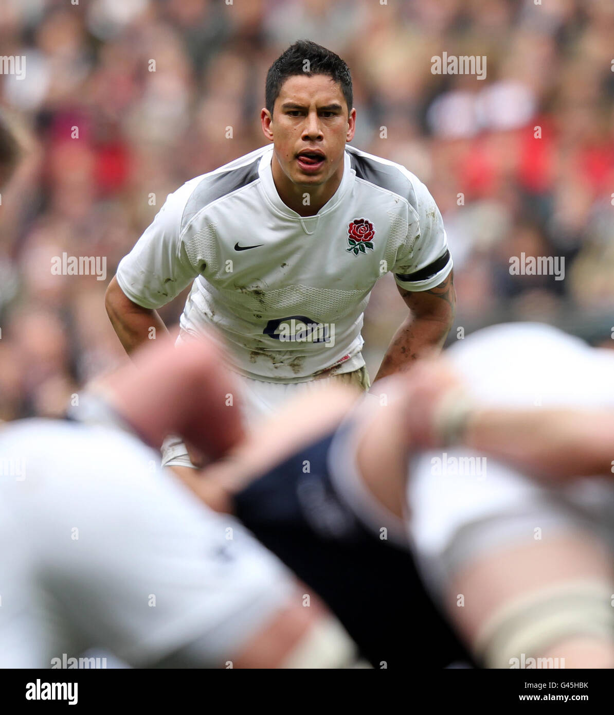 Scrum half length hi-res stock photography and images - Alamy