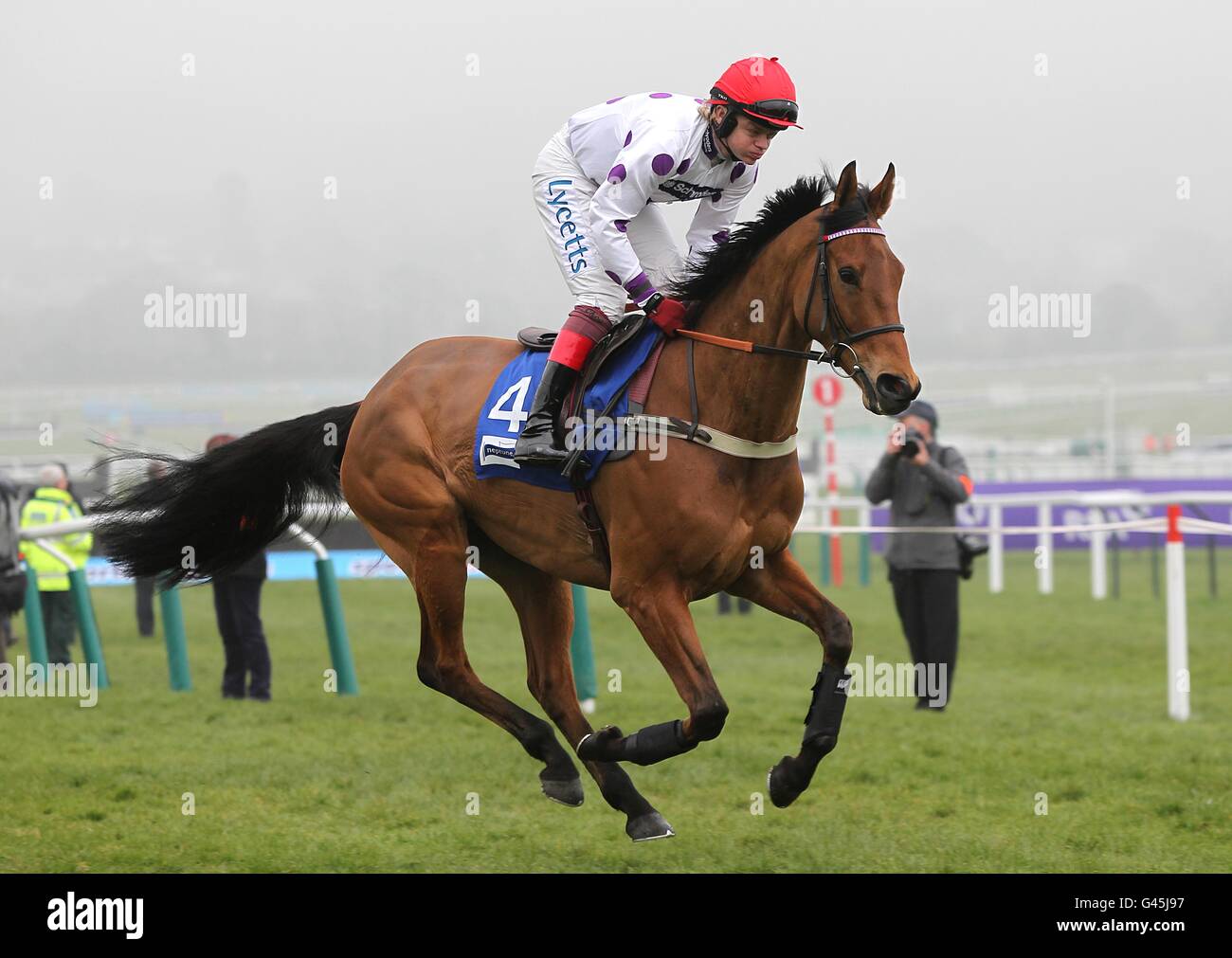 Baring bingham hurdle cheltenham hi-res stock photography and images ...
