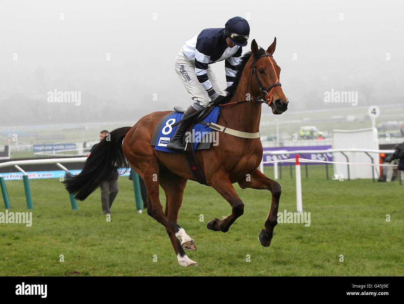 Baring bingham hurdle cheltenham hi-res stock photography and images ...