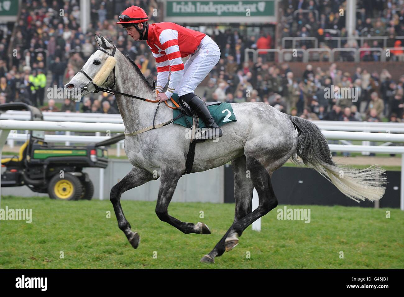 Alfa Beat ridden by Andrew McNamara goes to post for the 141st Year Of ...