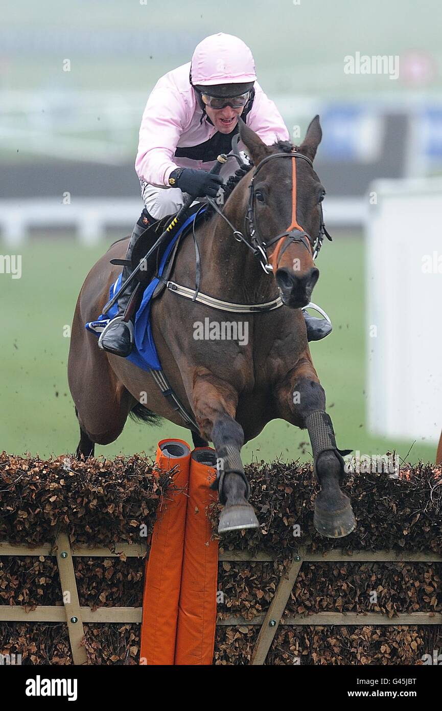 Baring bingham hurdle cheltenham hi-res stock photography and images ...