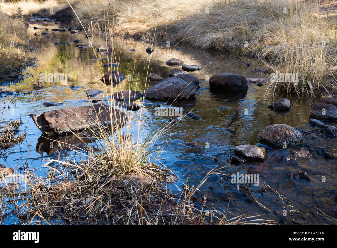 Runoff from Parker Canyon Lake in the Sonoran Desert grasslands in the ...