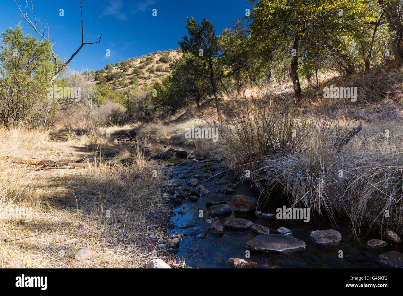 Runoff from Parker Canyon Lake in the Sonoran Desert grasslands in the ...
