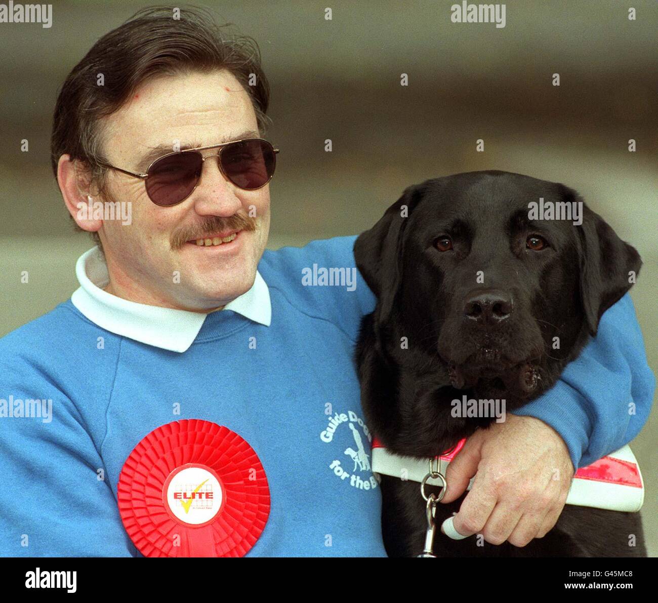 SOCIAL Guide Dog Jack/Brown Stock Photo - Alamy