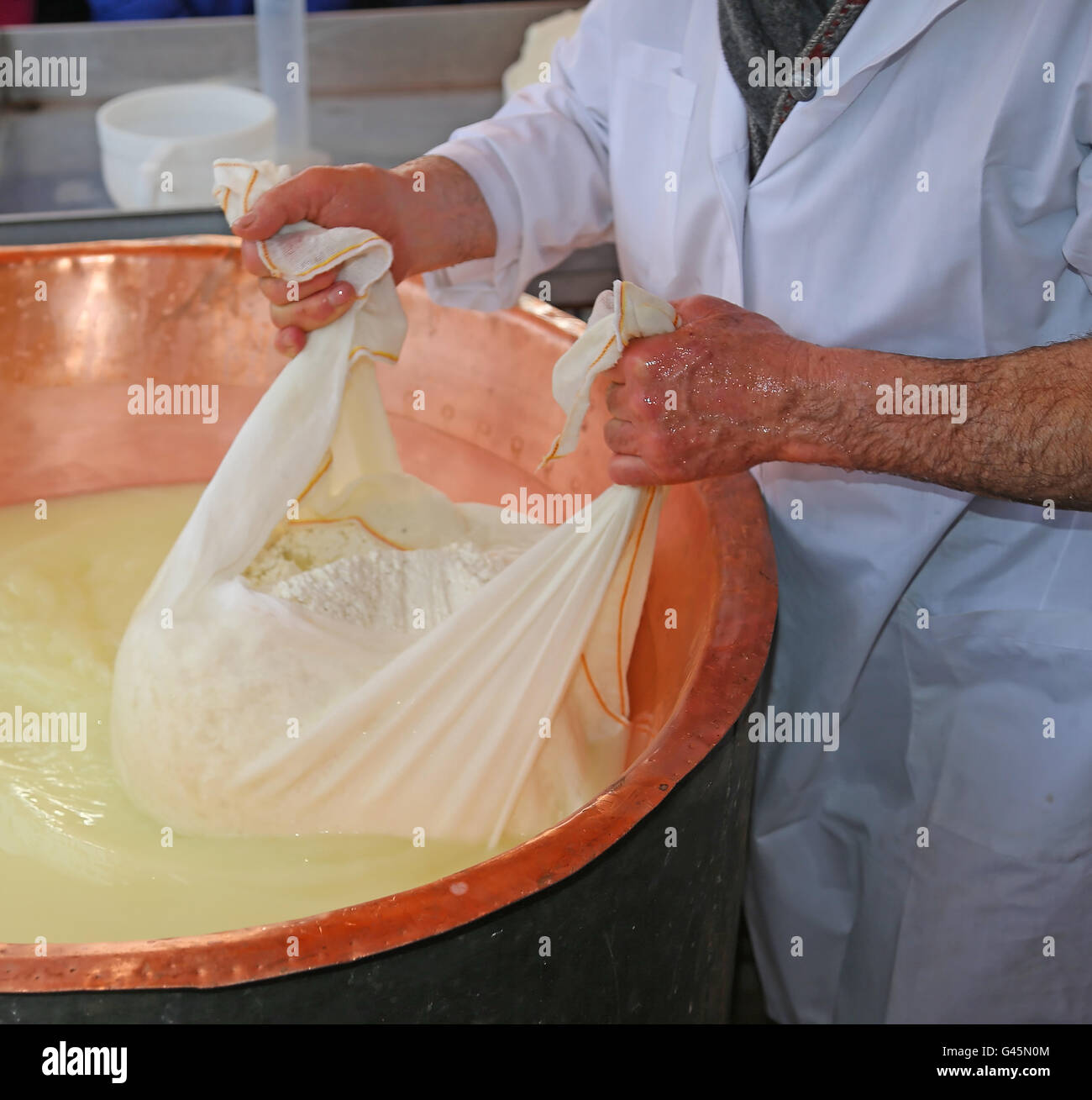 Senior expert cheesemaker collects the cheese with the tarp from the ...