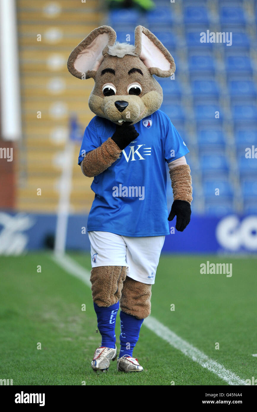 Chesterfield mascot chester the fieldmouse hi-res stock photography and ...