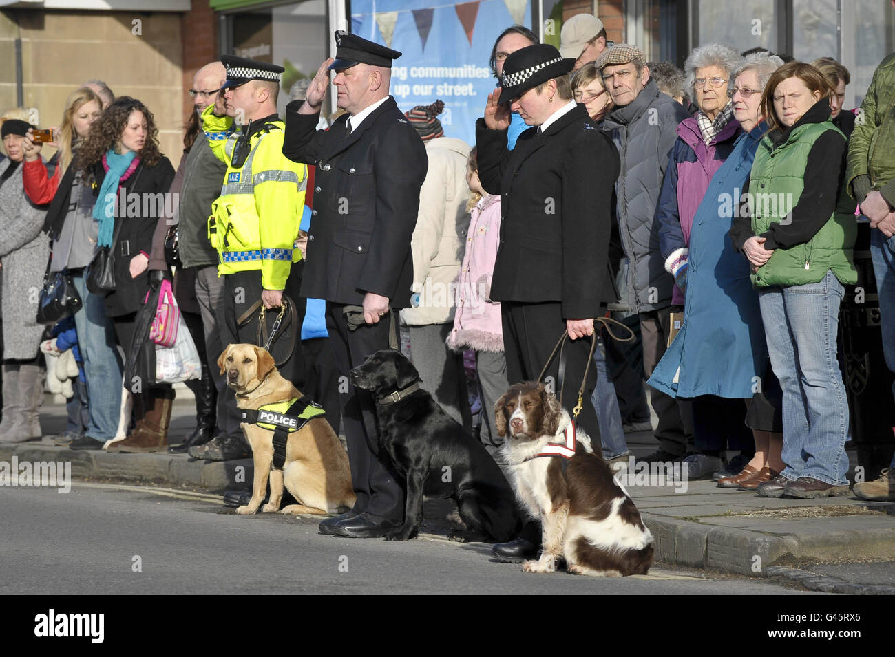 Military service dogs hi-res stock photography and images - Alamy