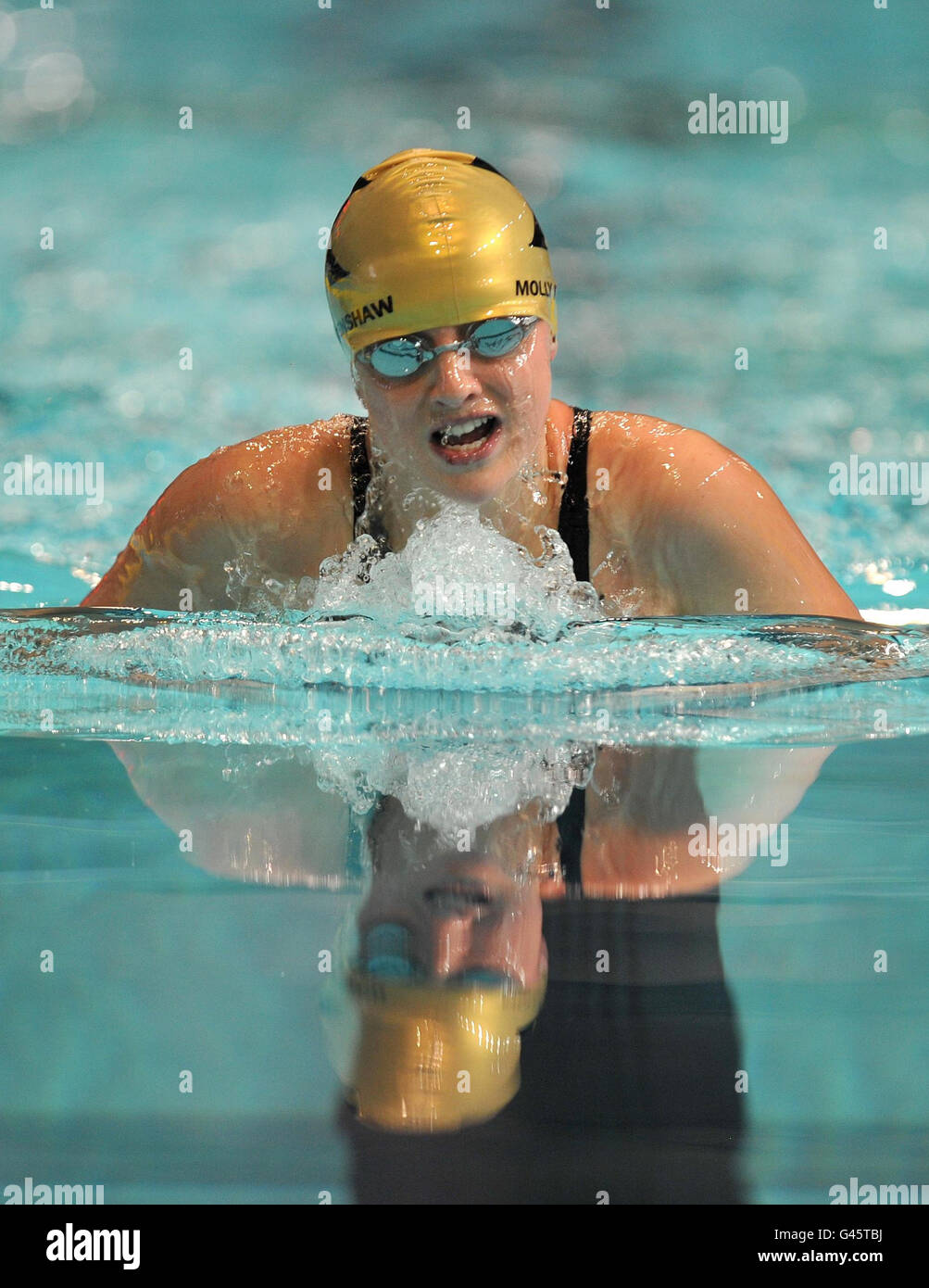 Silver molly hi-res stock photography and images - Alamy