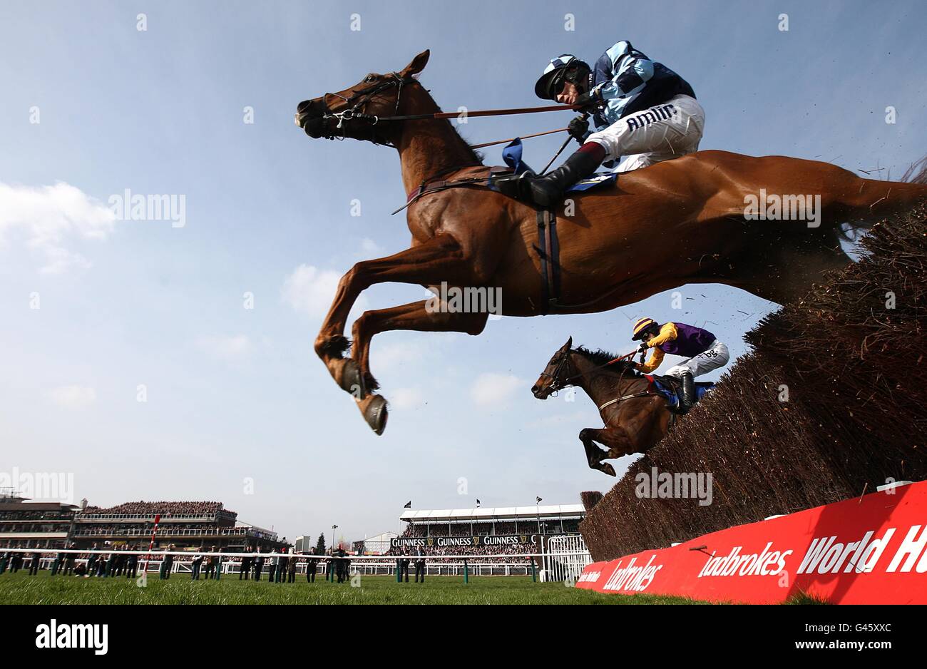 Golden miller cheltenham hi-res stock photography and images - Alamy
