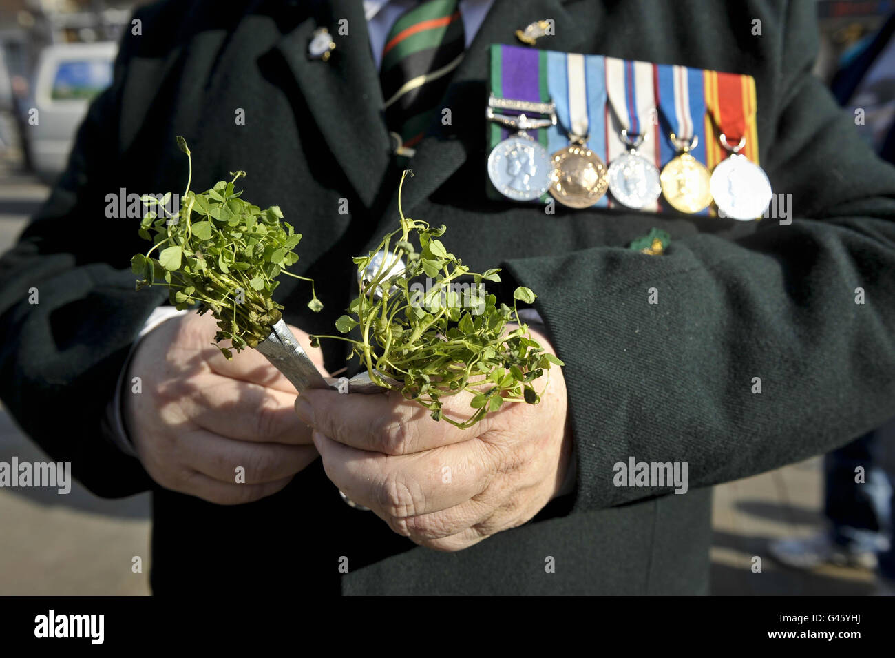 A veteran holds shamrocks in his hands to celebrate St. Partick's day ...