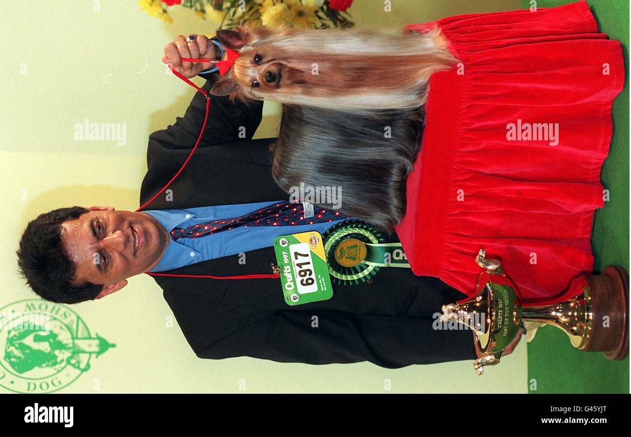 Justin the Yorkshire Terrier with his owner, Osman Sameja, from ...