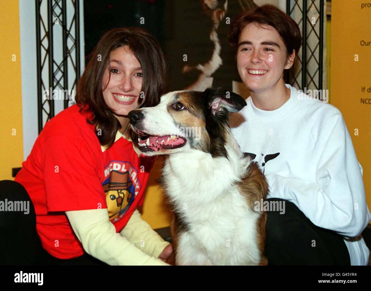 National canine defence league hi-res stock photography and images - Alamy