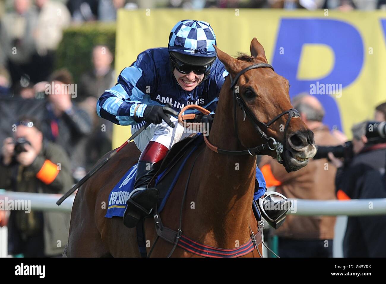 Richard miller horse hi-res stock photography and images - Alamy