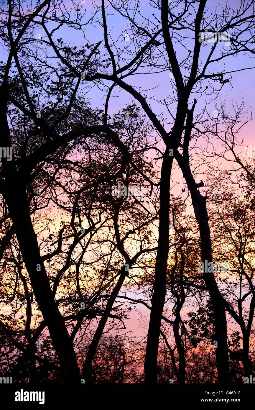 Light colours hi-res stock photography and images - Alamy