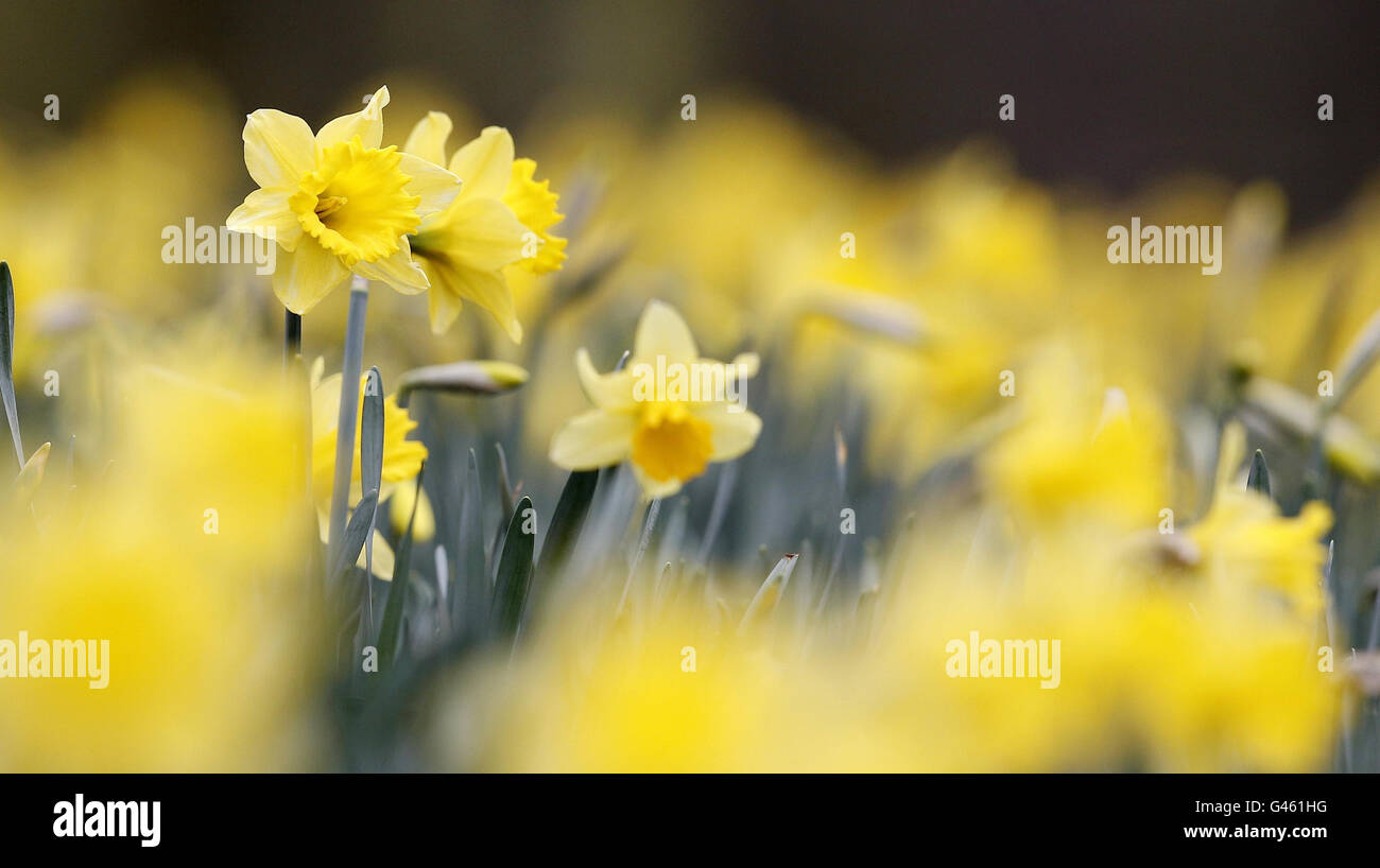 Spring weather March 21 Stock Photo - Alamy