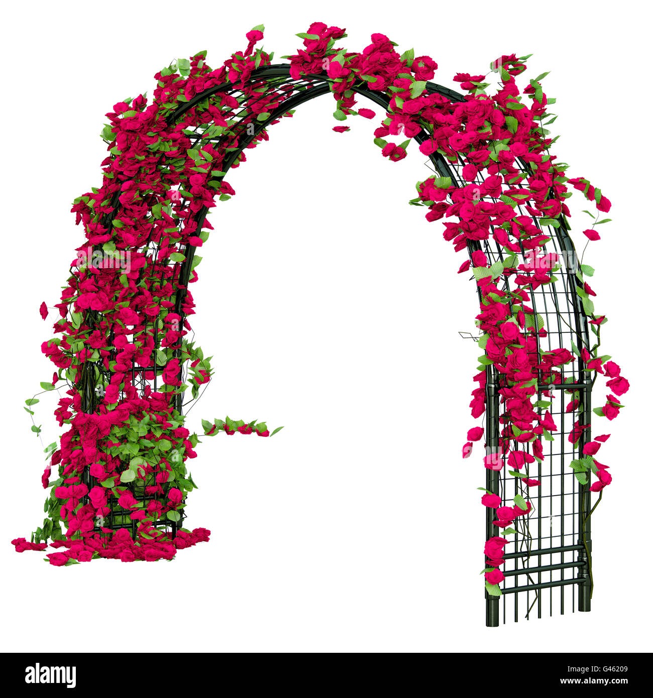 Rose arc garden Cut Out Stock Images & Pictures - Alamy