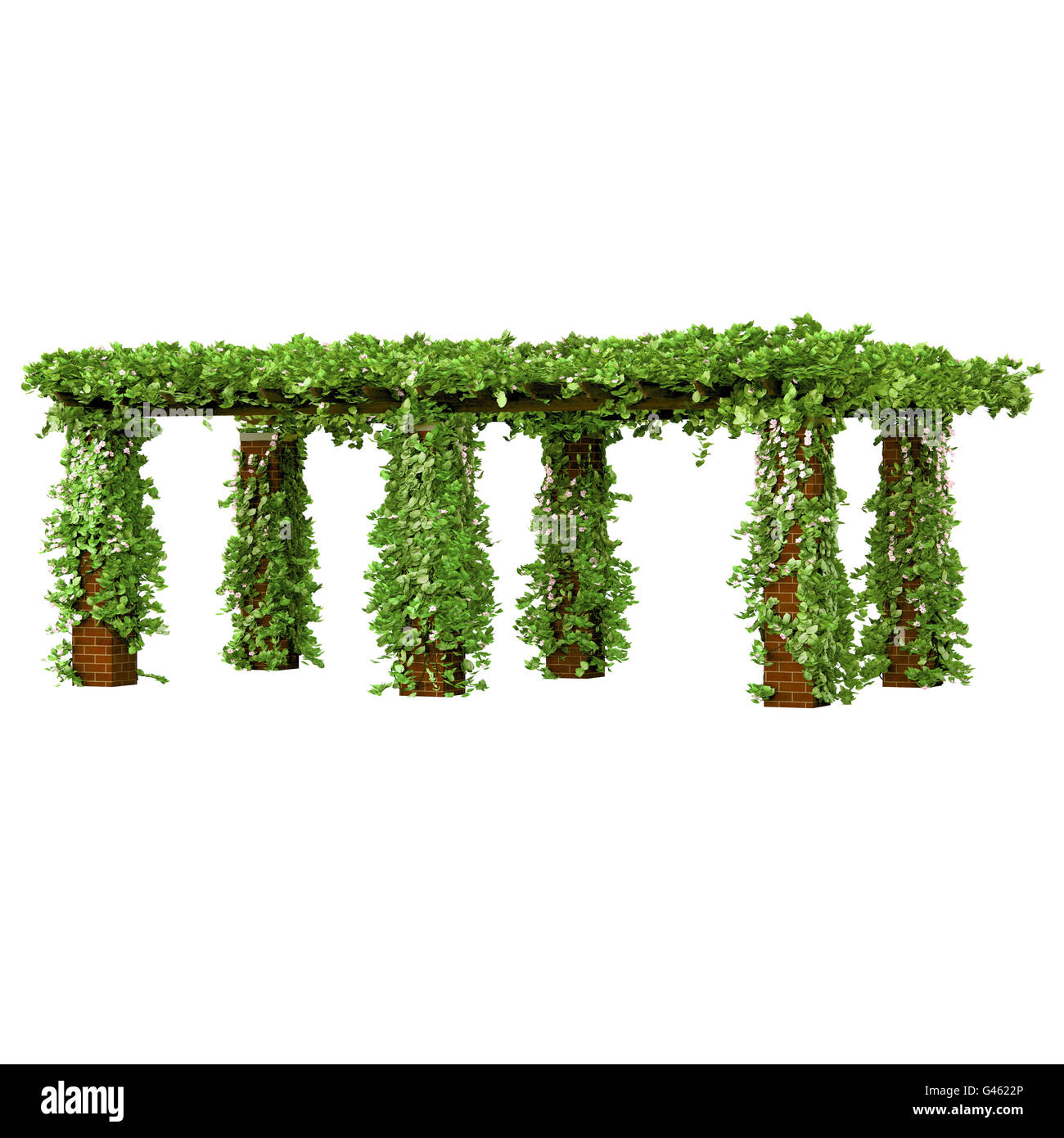 Long pergola perspective view Stock Photo - Alamy