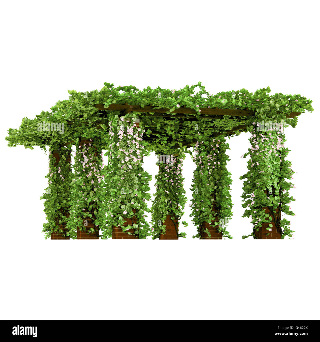 Outdoor arbor with ivy pergola Stock Photo - Alamy