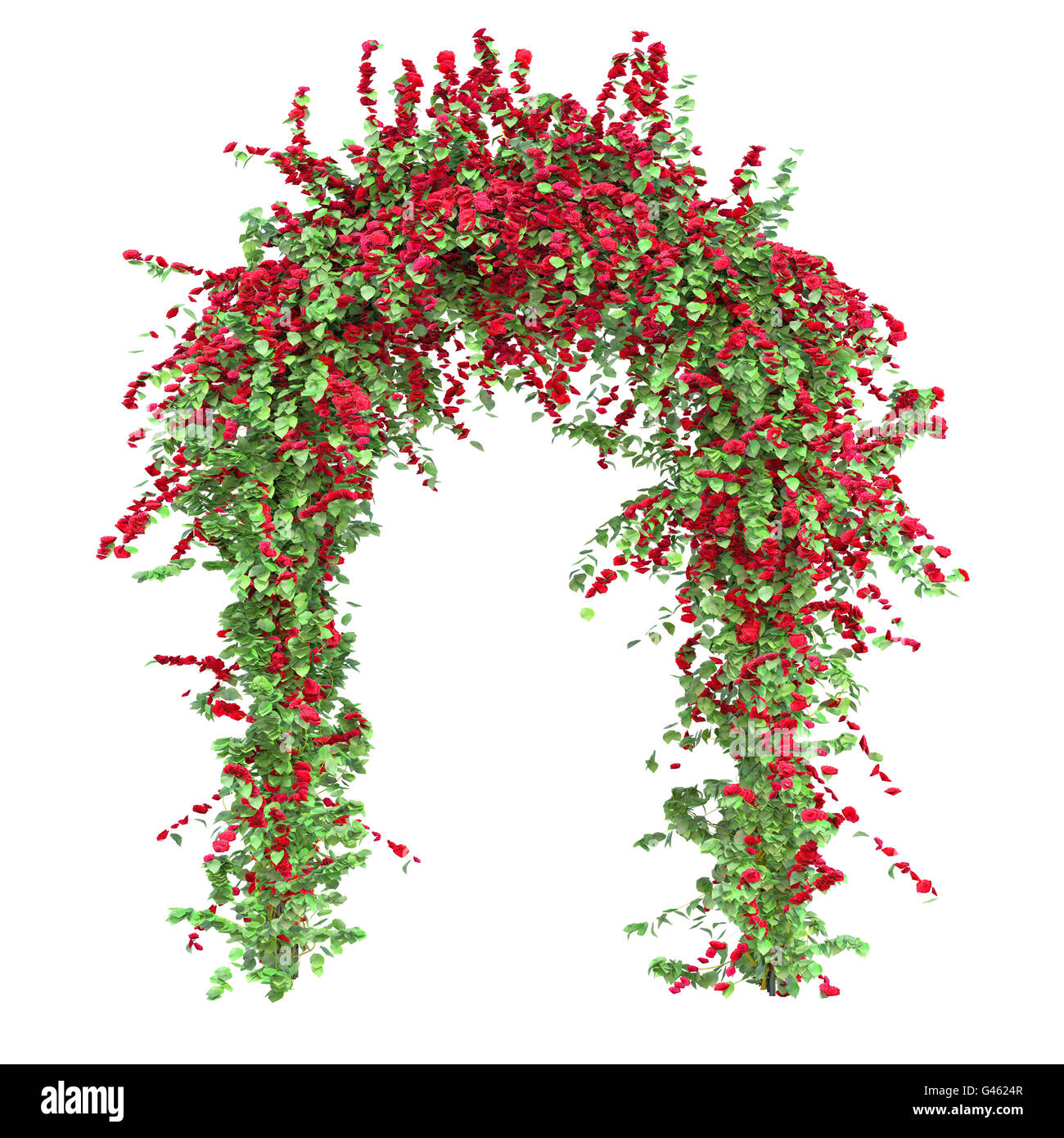 Climbing roses on pergola hi-res stock photography and images - Alamy