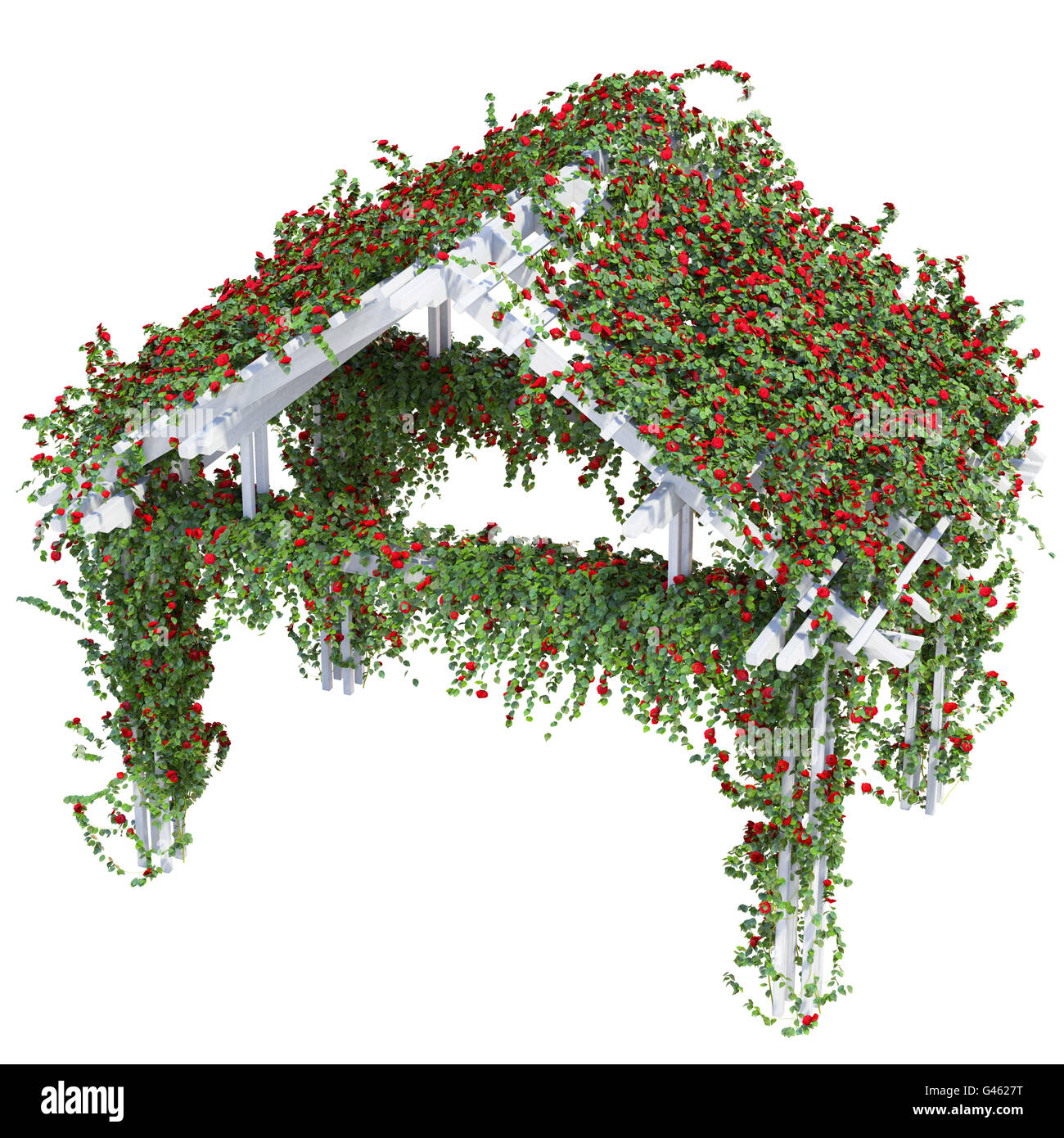 Pergola of roses hi-res stock photography and images - Alamy