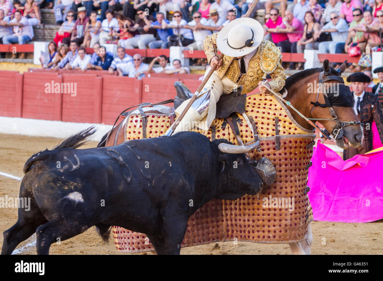 Picador bullfighter, lancer whose job it is to weaken bull's neck ...