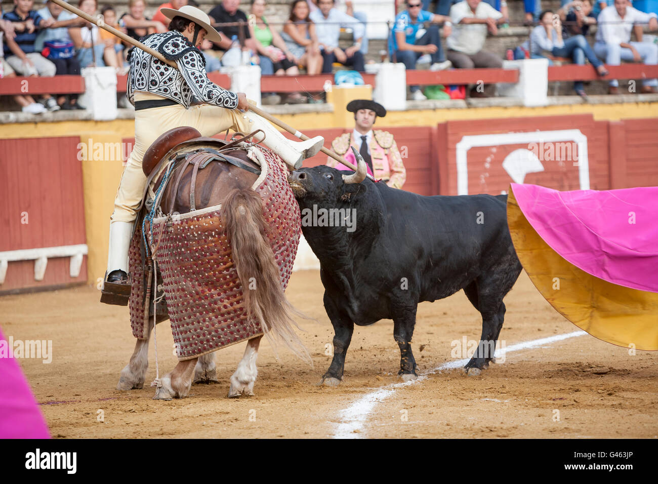 Bulls Neck High Resolution Stock Photography and Images - Alamy