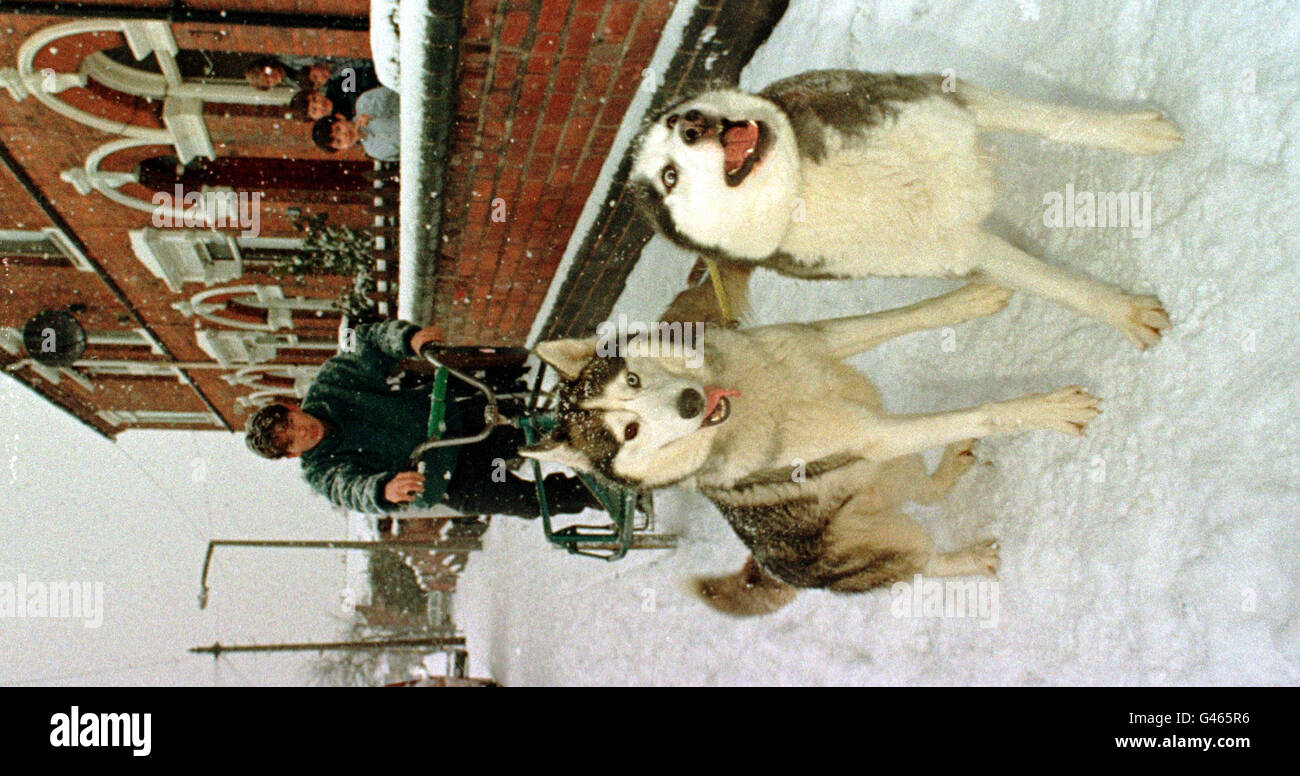 Twenty eight year old Lisa Lockley of West Bromwich puts her huskey's ...