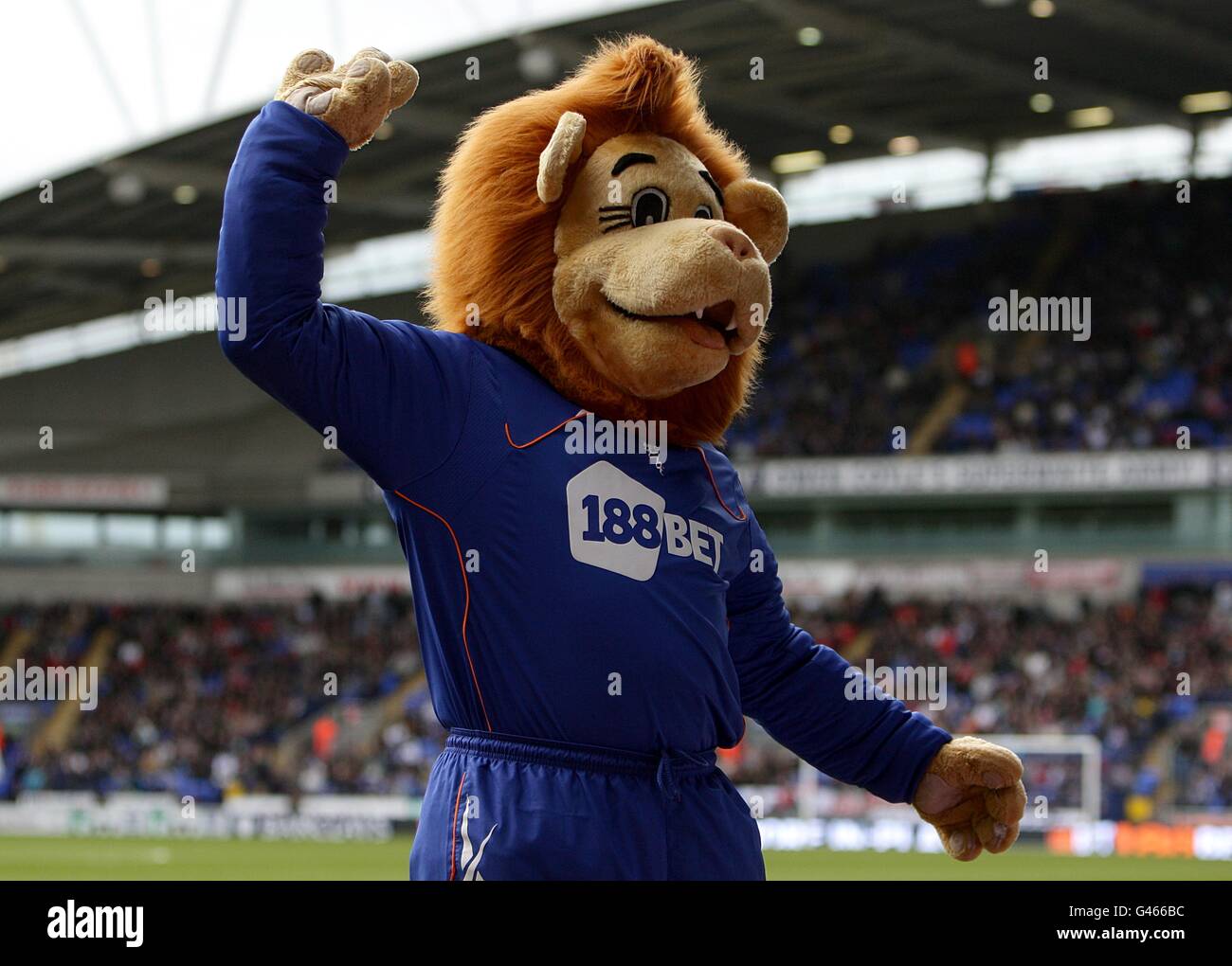 Bolton wanderers mascot lofty lion hi-res stock photography and images ...