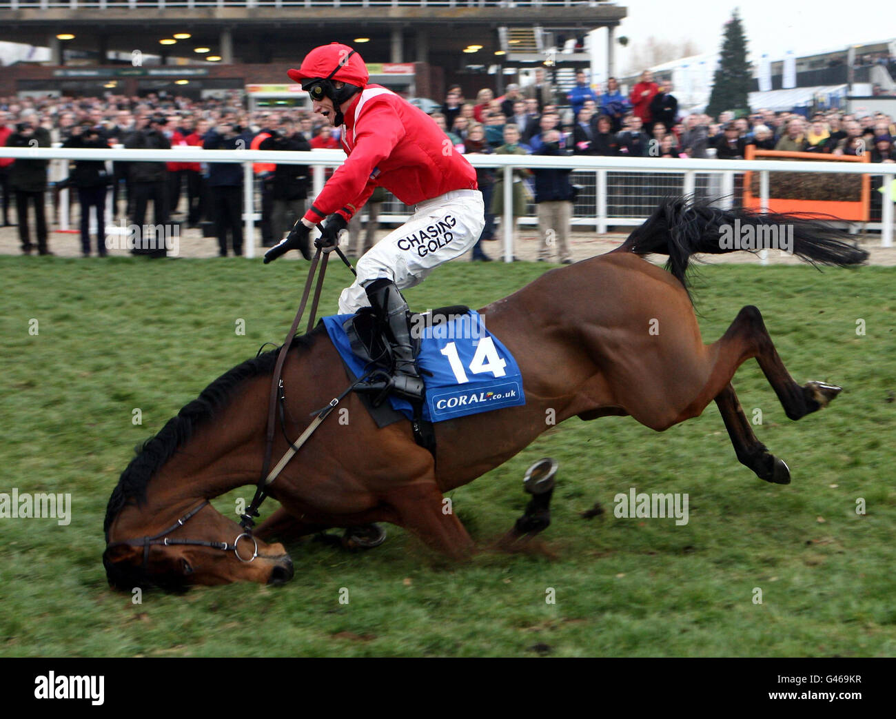 For Non Stop ridden by Daryl Jacob comes falls at the last during The ...