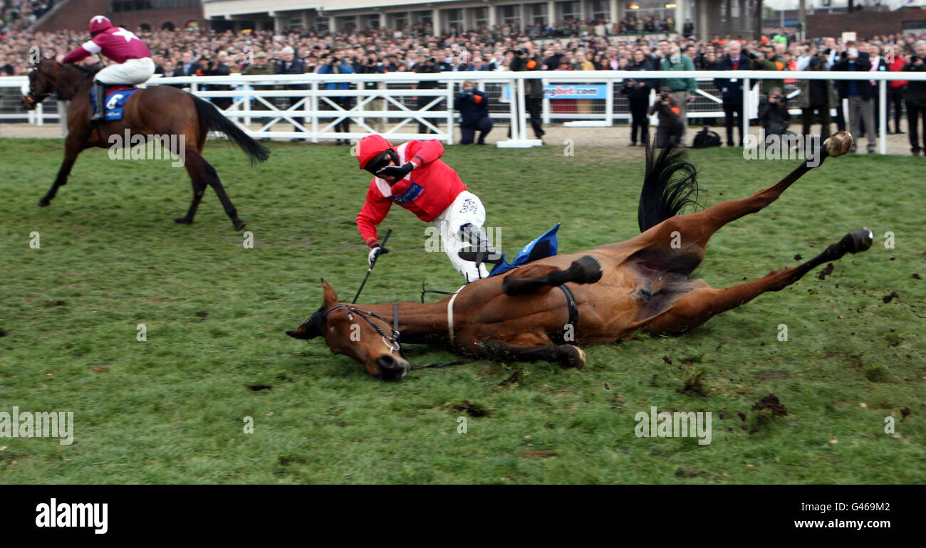 For Non Stop ridden by Daryl Jacob falls at the last during The Coral ...