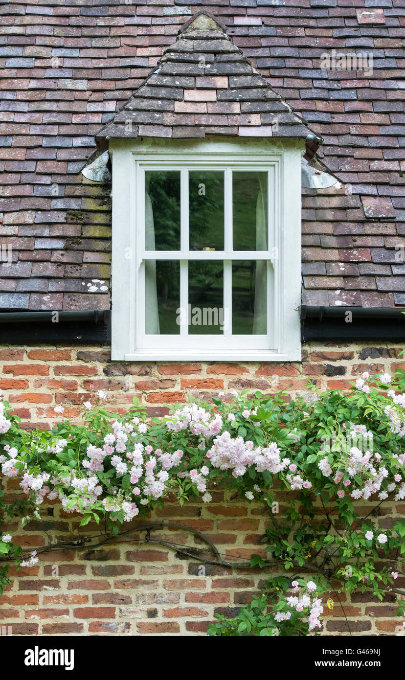 Rose windows hi-res stock photography and images - Alamy