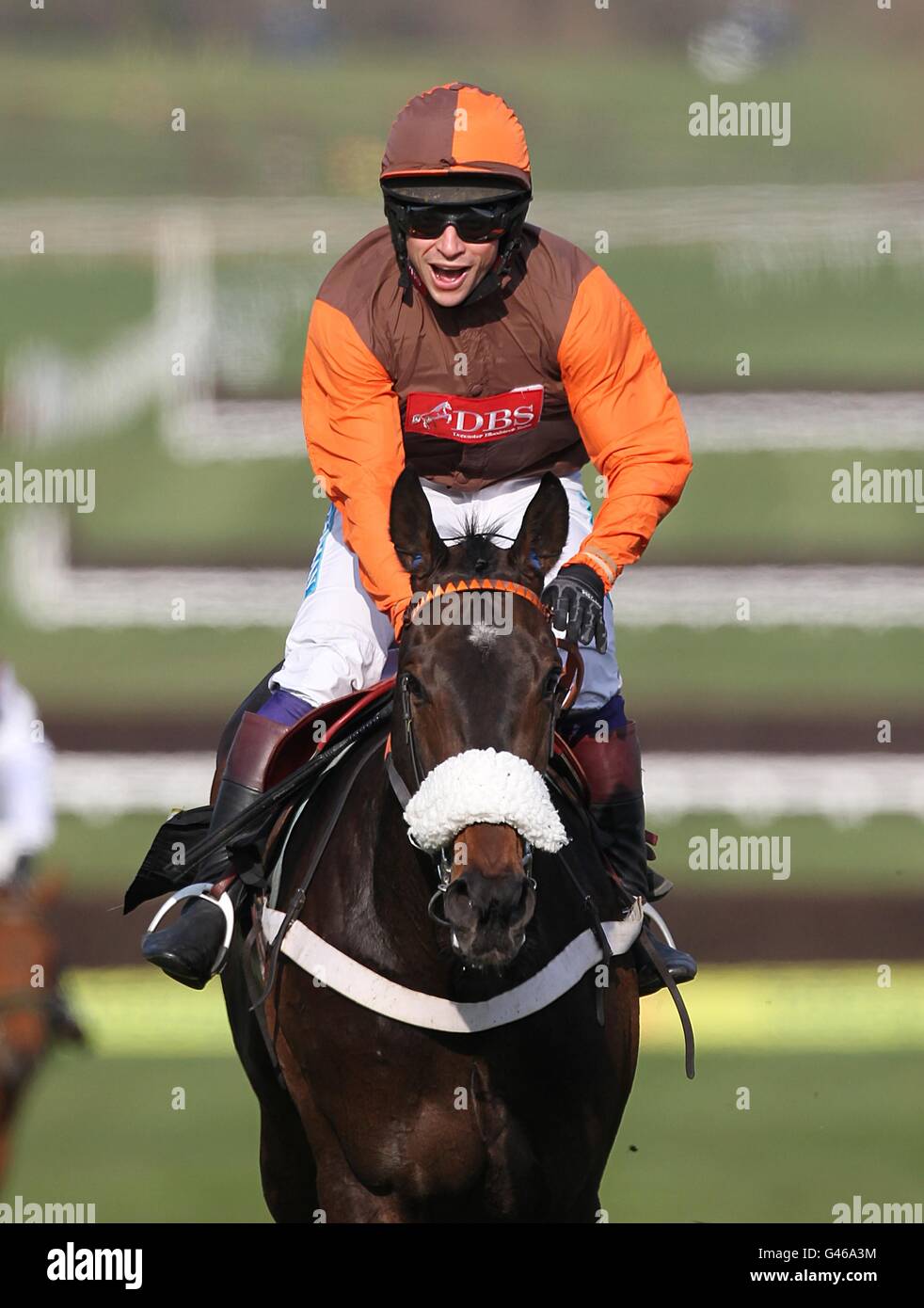 Jockey Sam Waley-Cohen celebrates winning the totesport Cheltenham Gold ...