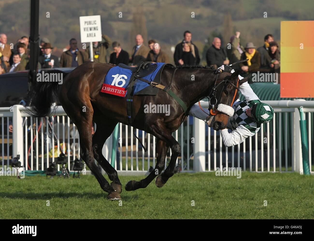 Jockey Ben Tuckey is unseated by Reach For the Top during the Christie ...