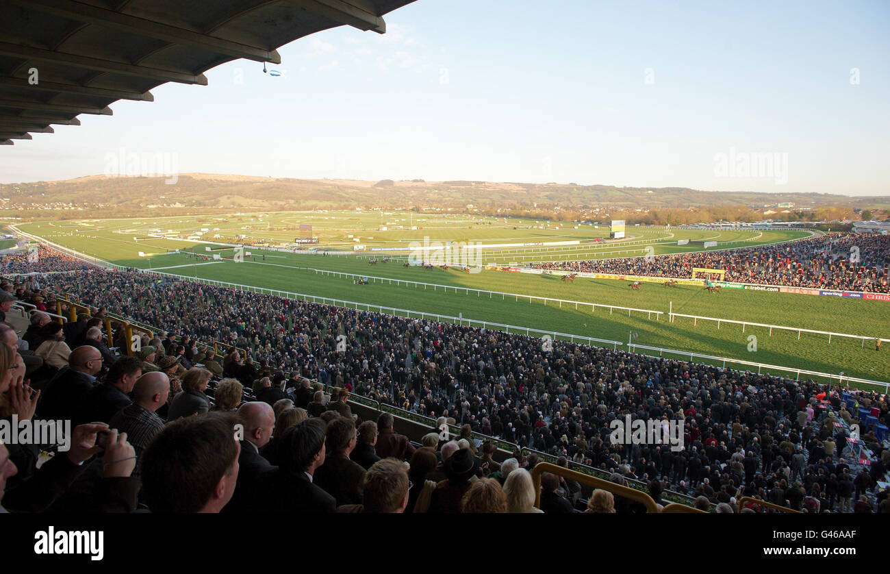 Oiseau de Nuit wins The Johnny Henderson Grand Annual Steeple Chase ...
