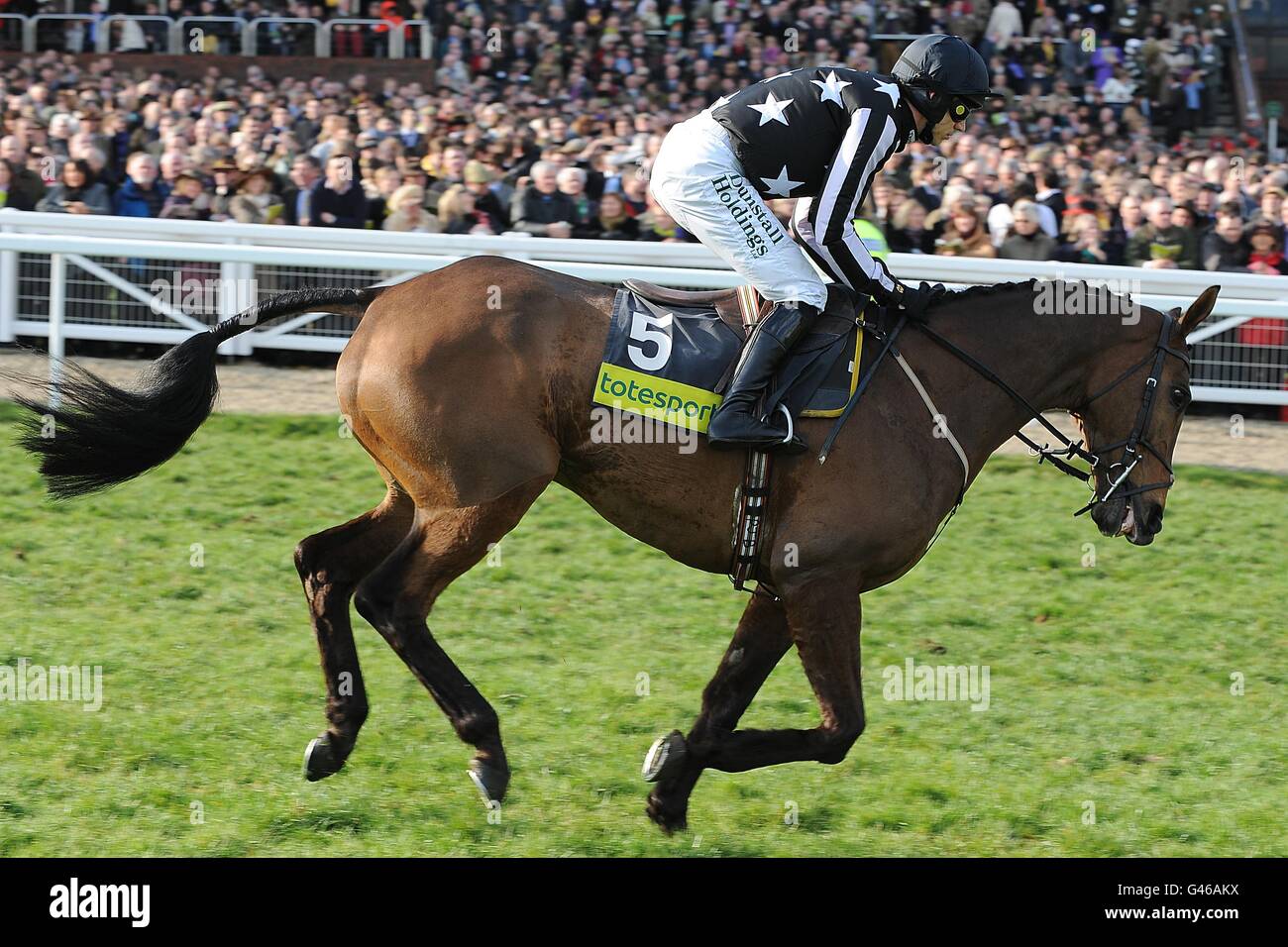 Imperial commander gold cup hi-res stock photography and images - Alamy
