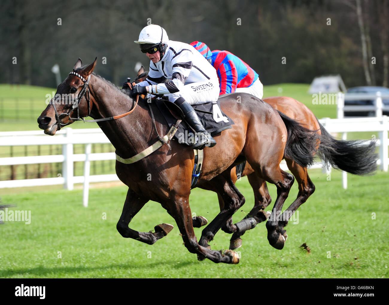Horse Racing - National Hunt Racing - Lingfield Park Stock Photo - Alamy