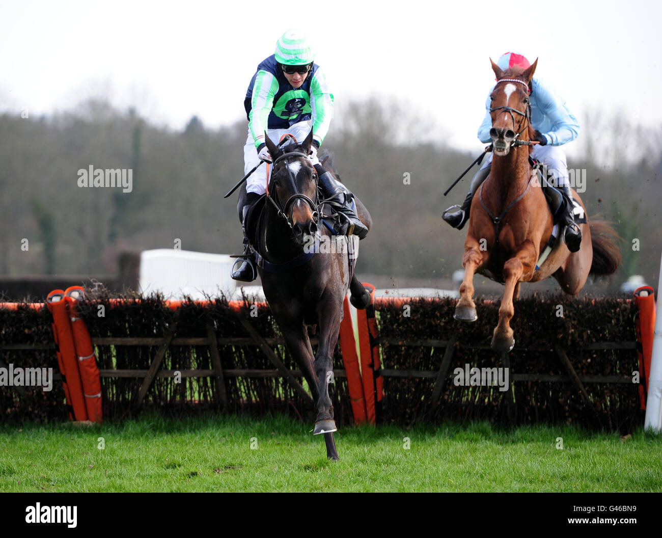 Horse Racing - National Hunt Racing - Lingfield Park Stock Photo - Alamy