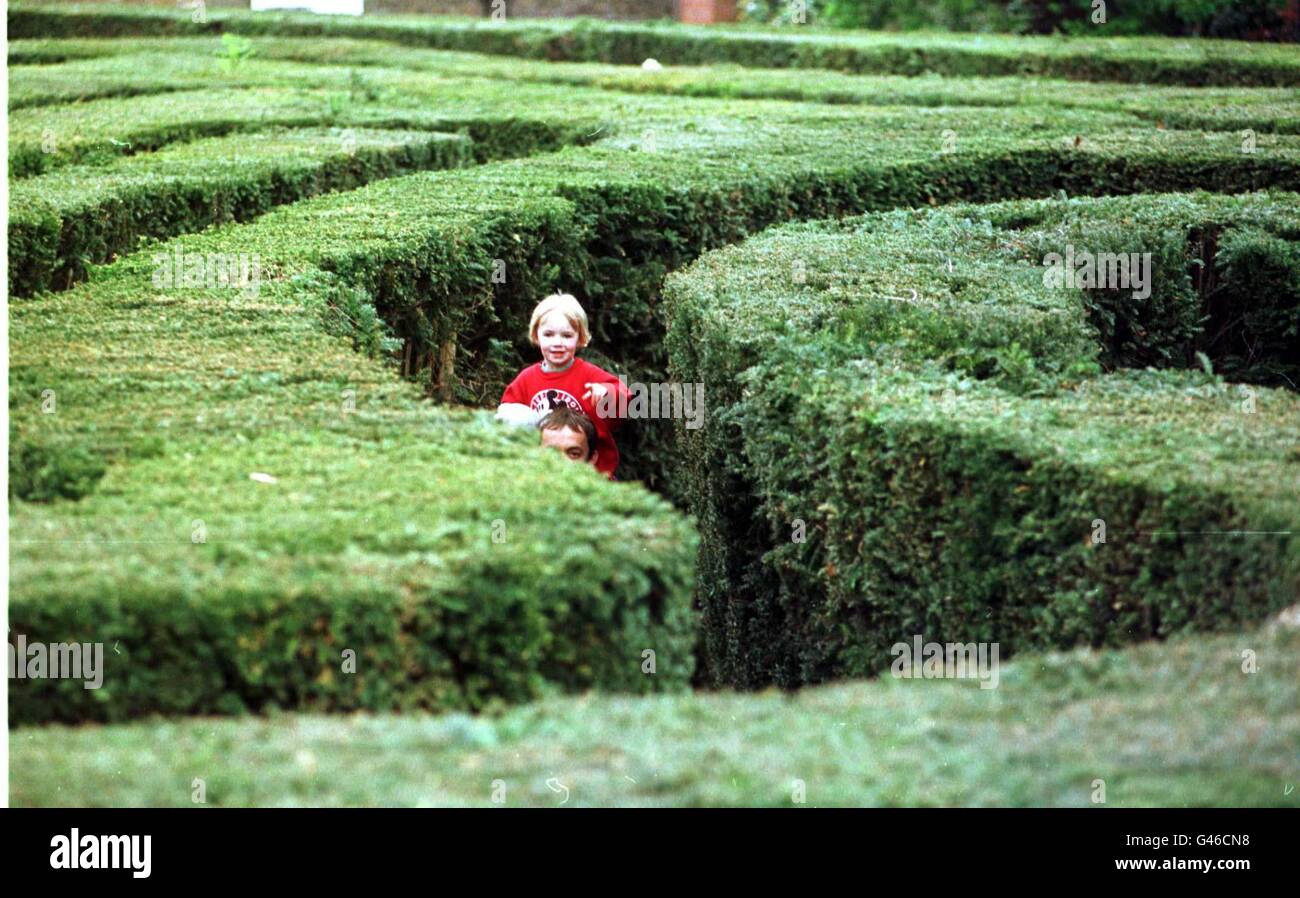 Hampton Court Palace Maze High Resolution Stock Photography and Images ...