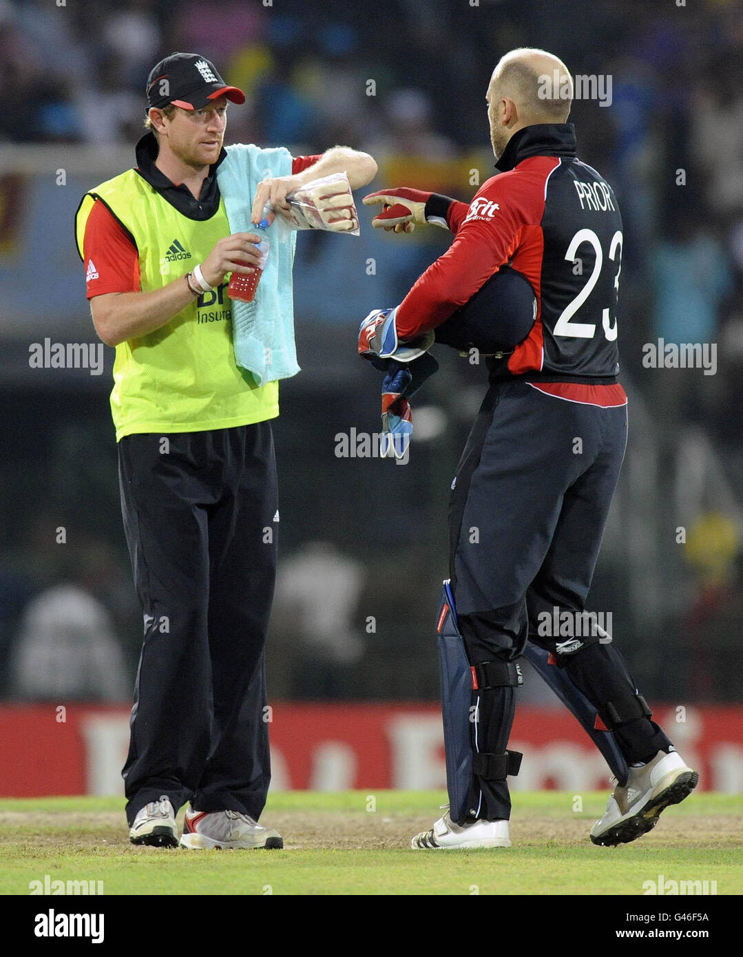 2011 icc final hi-res stock photography and images - Alamy