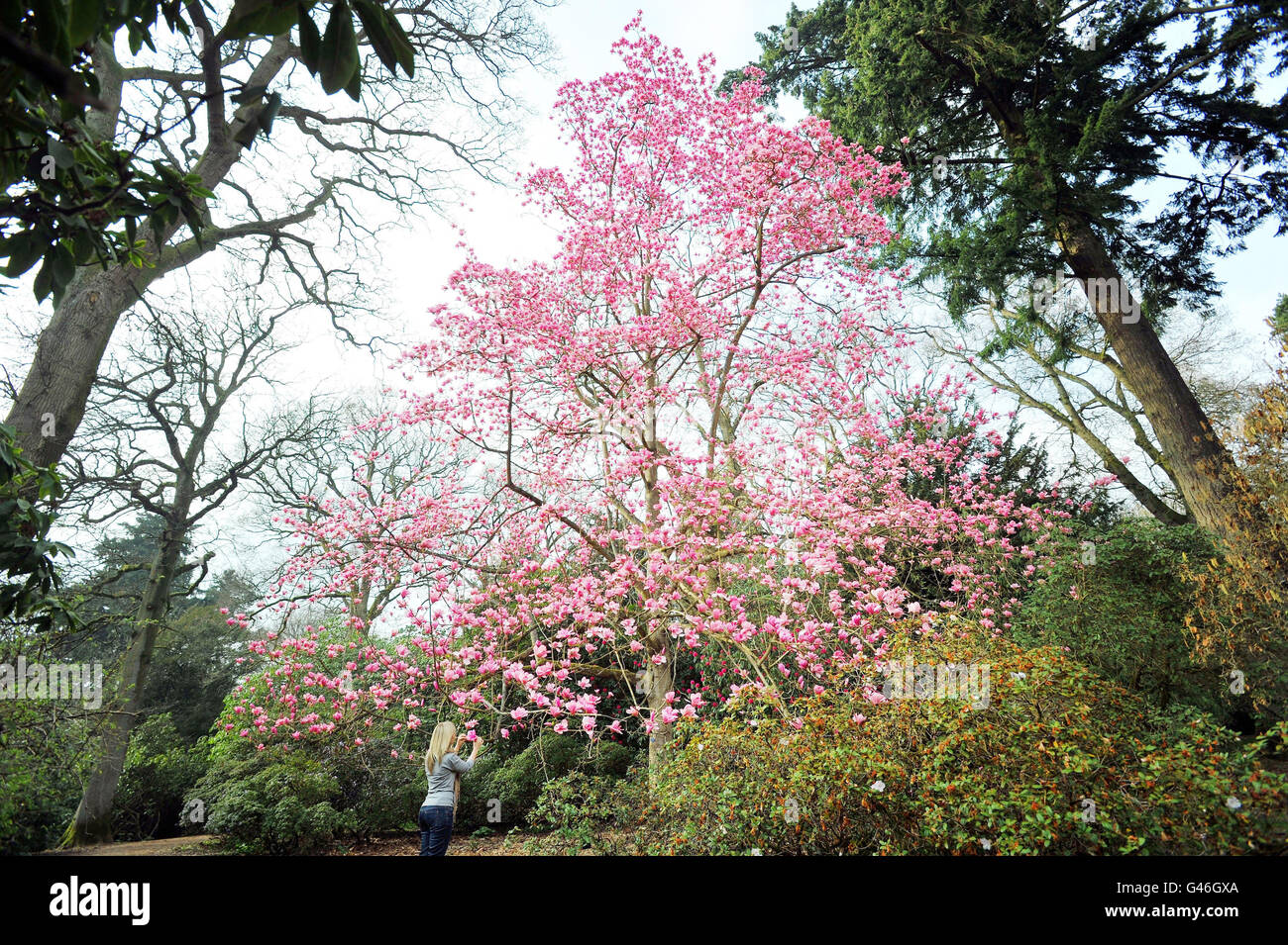 Spring weather March 29 Stock Photo - Alamy