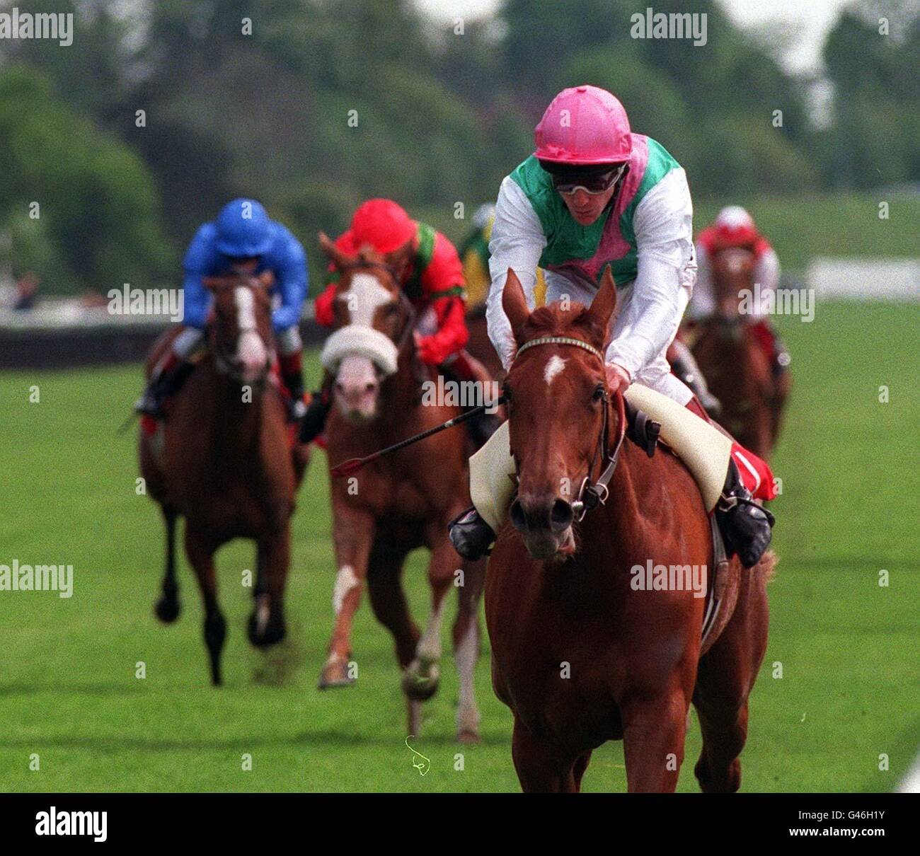 Tues horse hi-res stock photography and images - Alamy