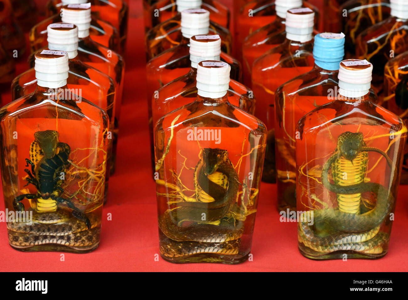 Snakes in alcohol Donsao Island Golden Triangle Laos Stock Photo - Alamy