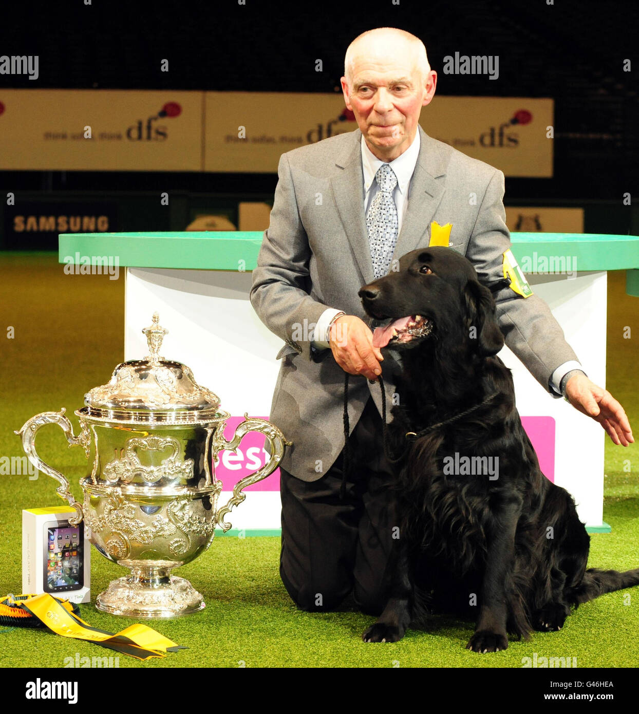 Wins best in show 120th crufts competition in nec hi-res stock ...