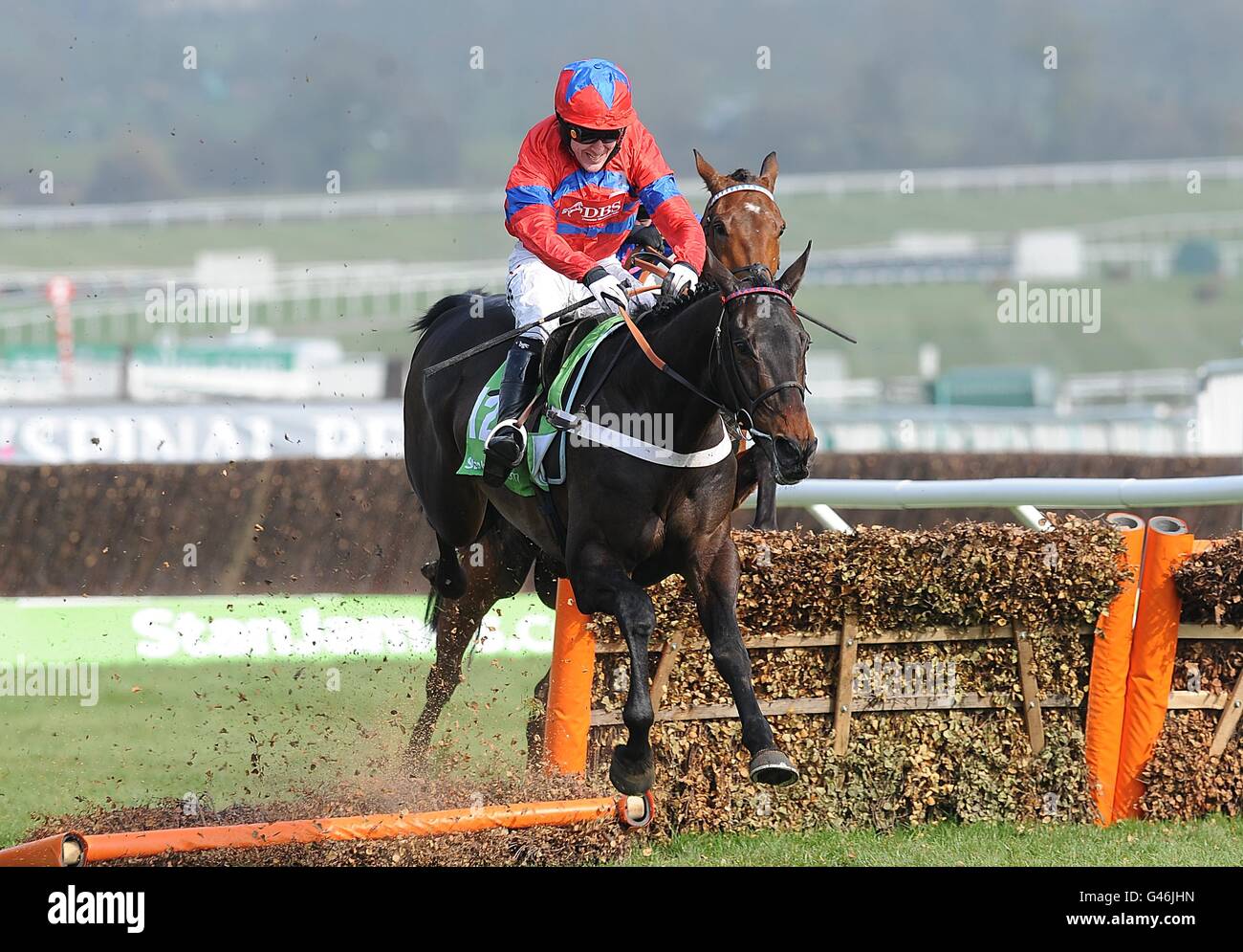 Sprinter Sacre ridden by Tony McCoy jumps the fence on his way to ...