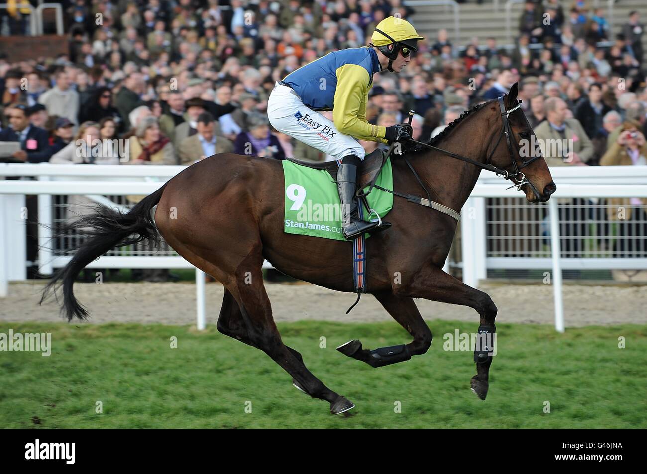 Sheer genius hi-res stock photography and images - Alamy