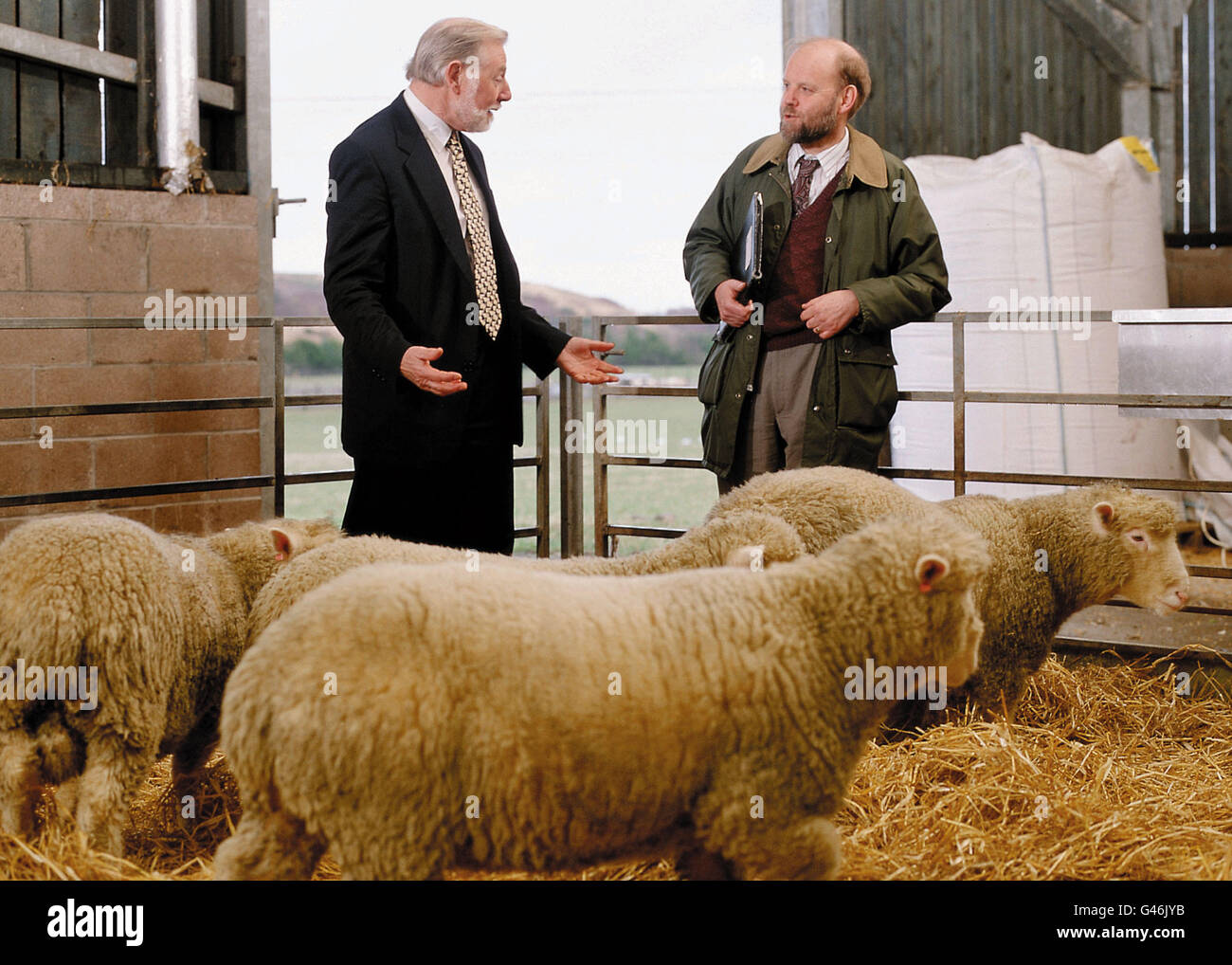 SCIENCE Sheep James/Wilmut Stock Photo - Alamy