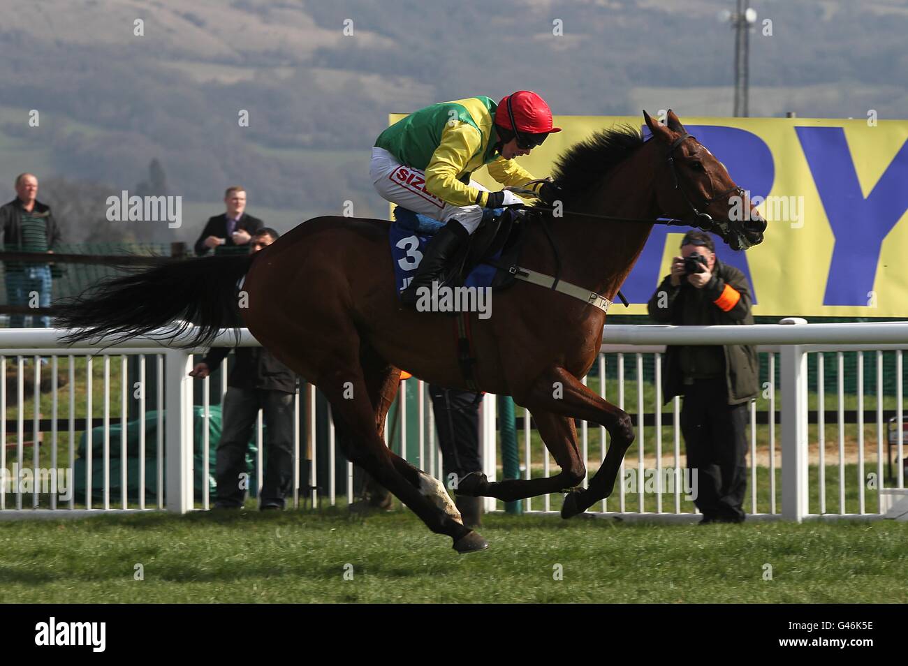 Golden miller cheltenham hi-res stock photography and images - Alamy